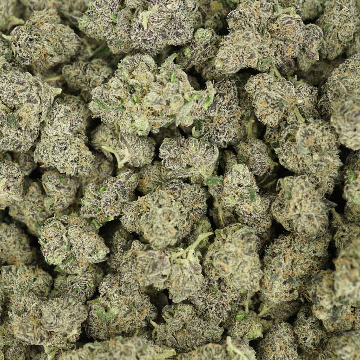 7gr - DOPAMINE - BALANCED HYBRID - (AAAA) | King Tuts