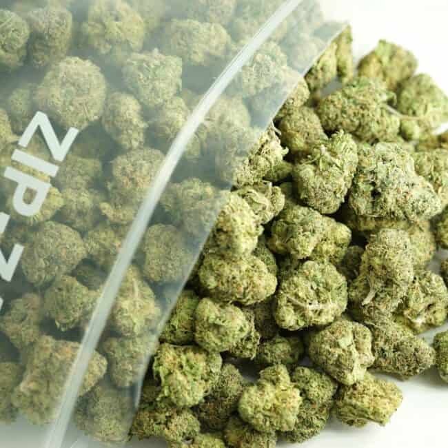 1/2p - JOKER JUICE (BULK) - BALANCED HYBRID - (AAA) | King Tuts