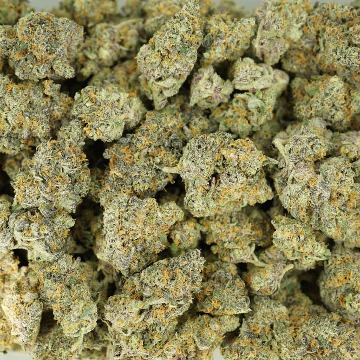 7gr - JUMPMAN - BALANCED HYBRID - (AAAA) | King Tuts